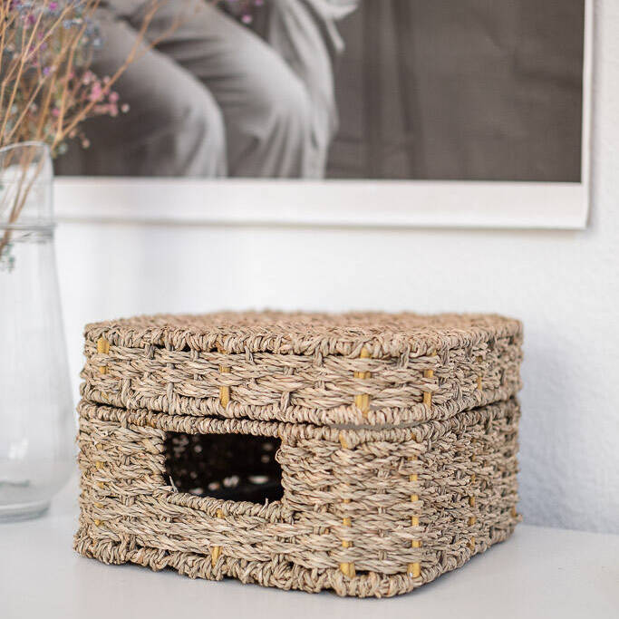 Unsere Neuheiten im Shop | atisan